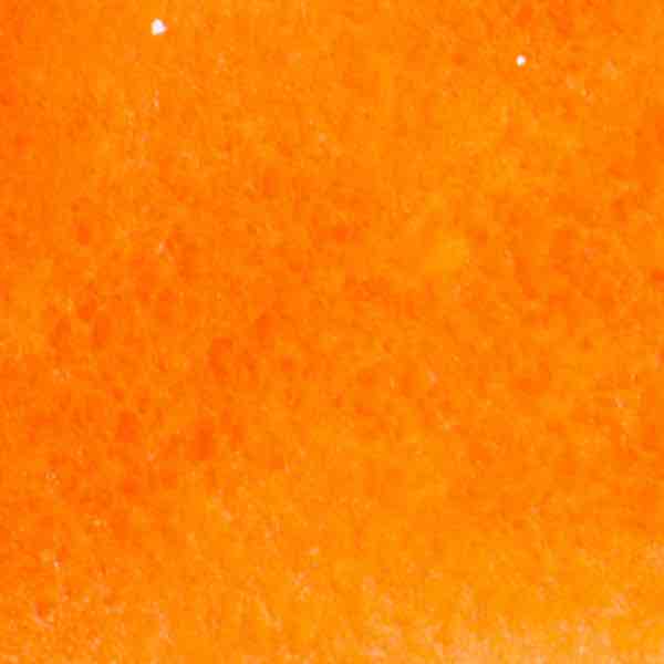 Berit Fuß (beritfuss) profile | Padlet