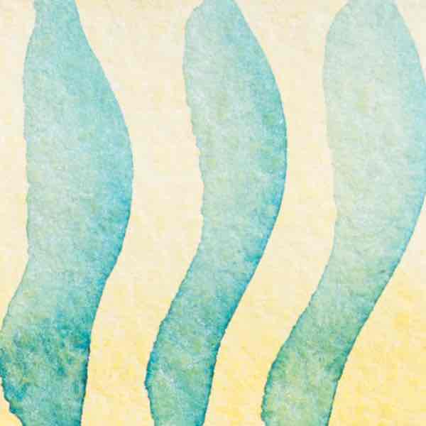 catedrasaludfceqyn profile | Padlet