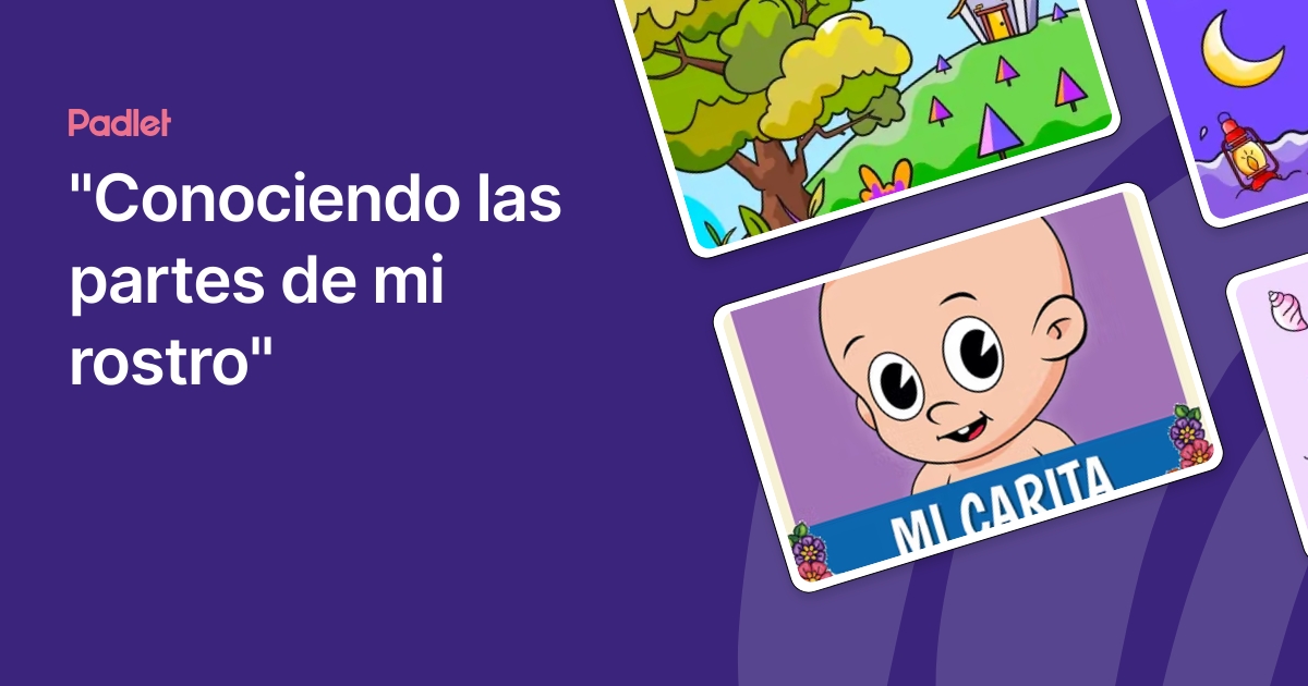 "Conociendo las partes de mi rostro"