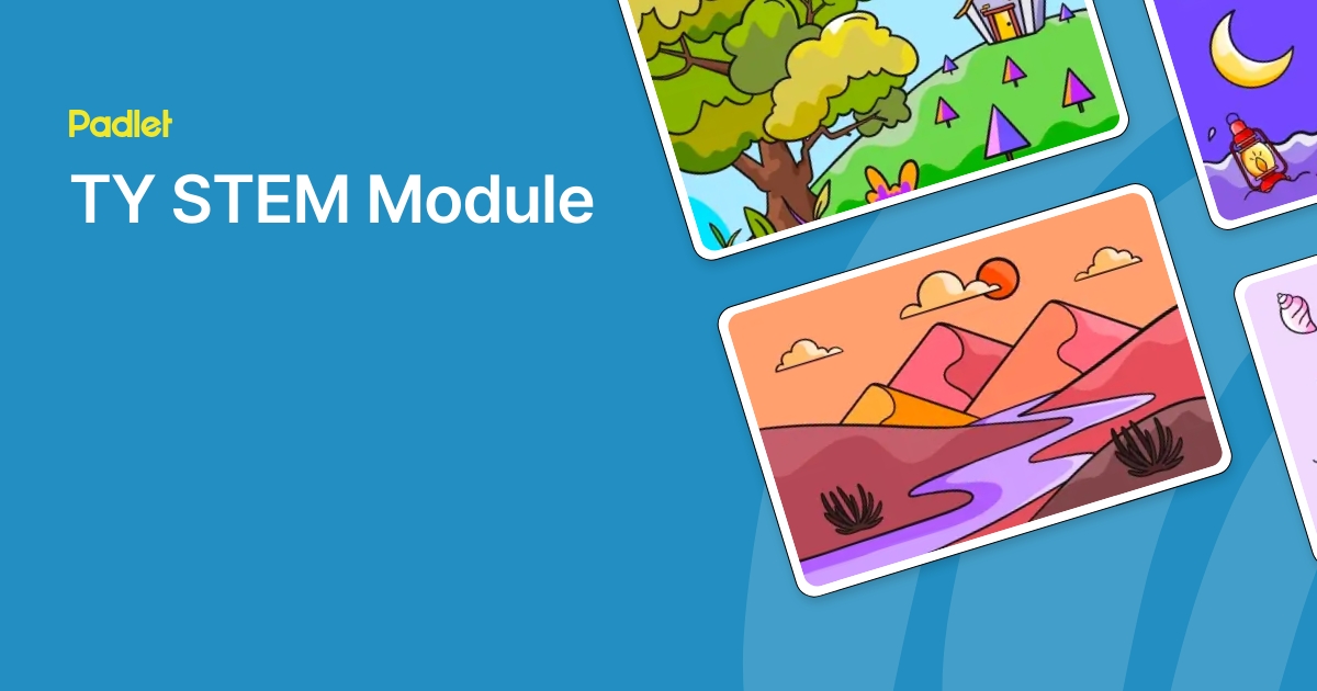 TY STEM Module