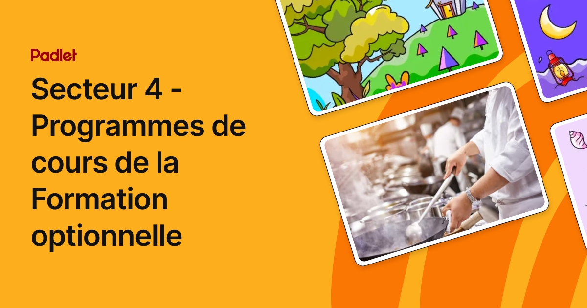 Secteur 4 - Programmes de cours de la Formation optionnelle