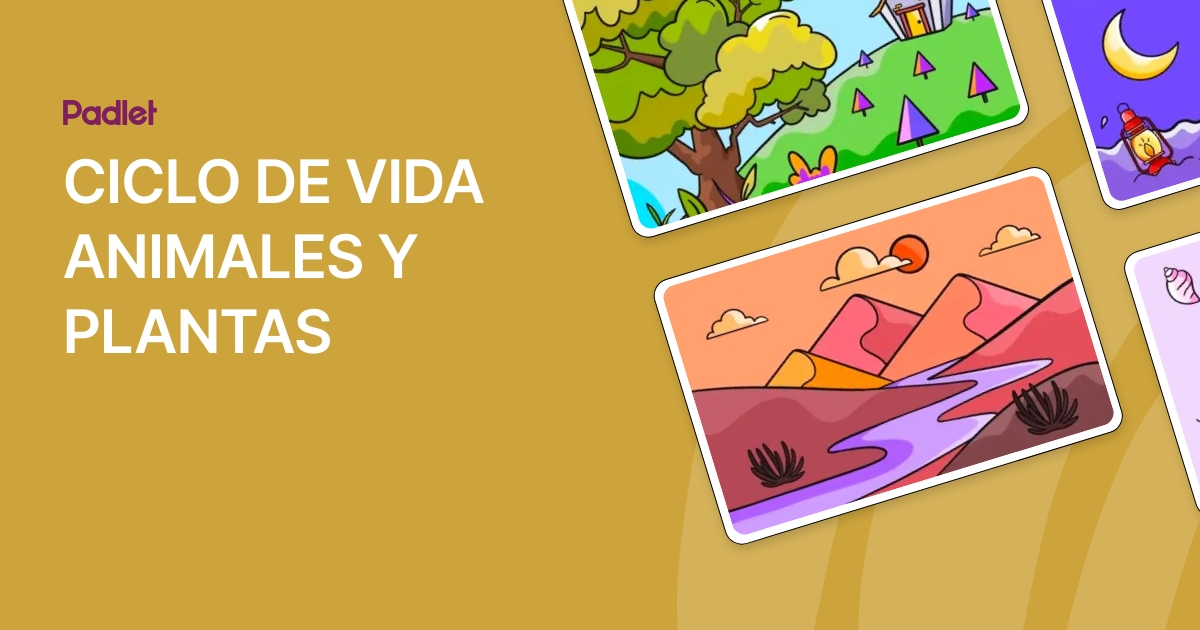 CICLO DE VIDA ANIMALES Y PLANTAS