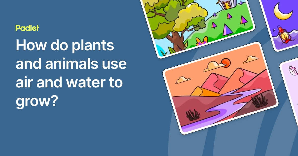 How do plants and animals use air and water to grow?