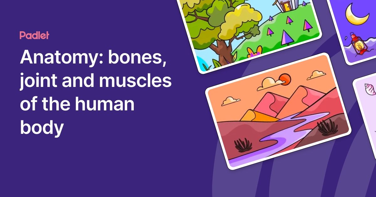 Anatomy: bones, joint and muscles of the human body