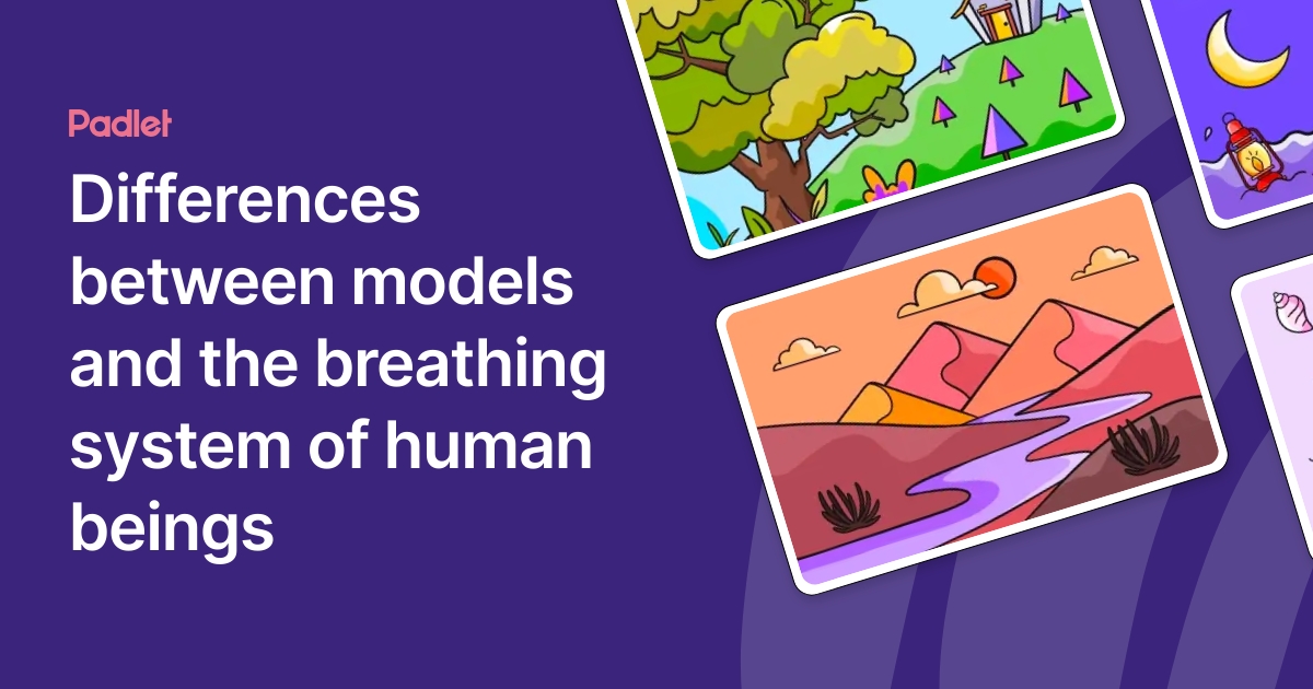 Differences between models and the breathing system of human beings