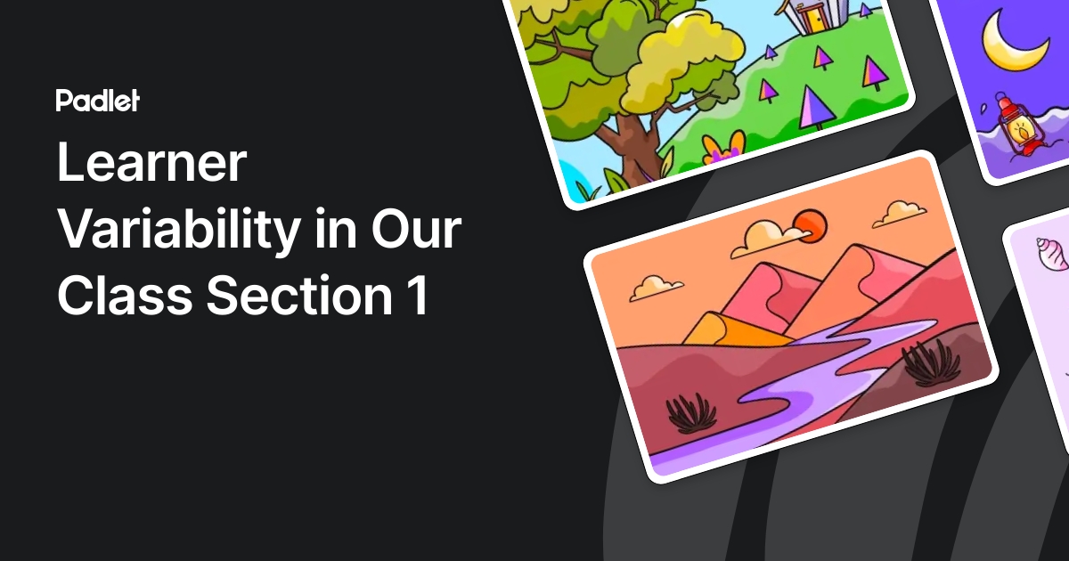 Learner Variability in Our Class Section 1