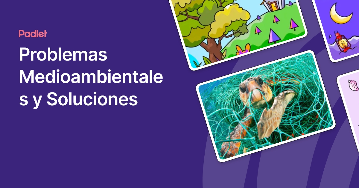 Problemas Medioambientales y Soluciones