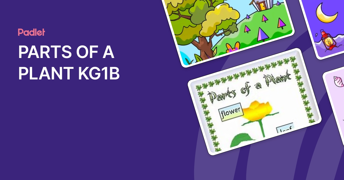 PARTS OF A PLANT KG1B