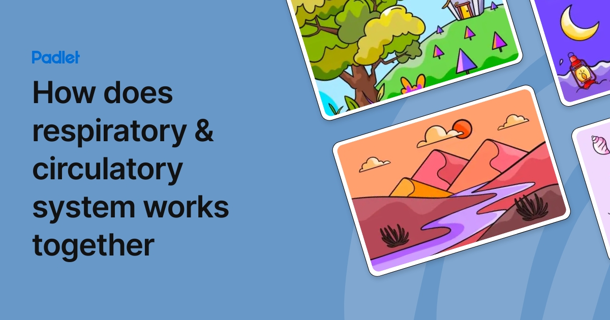 How does respiratory & circulatory system works together