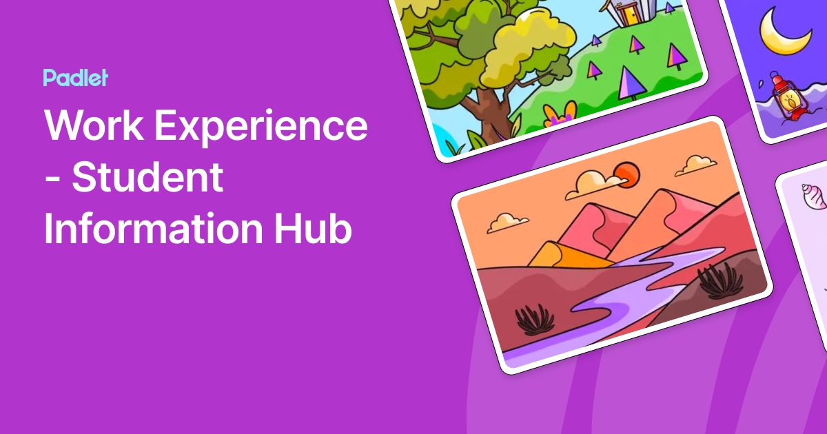 Work Experience - Student Information Hub
