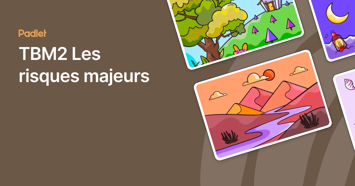 TBM2 Les risques majeurs