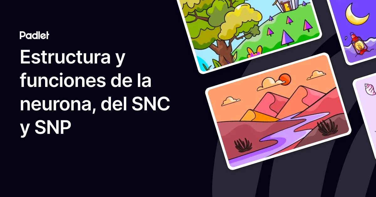 Estructura y funciones de la neurona, del SNC y SNP