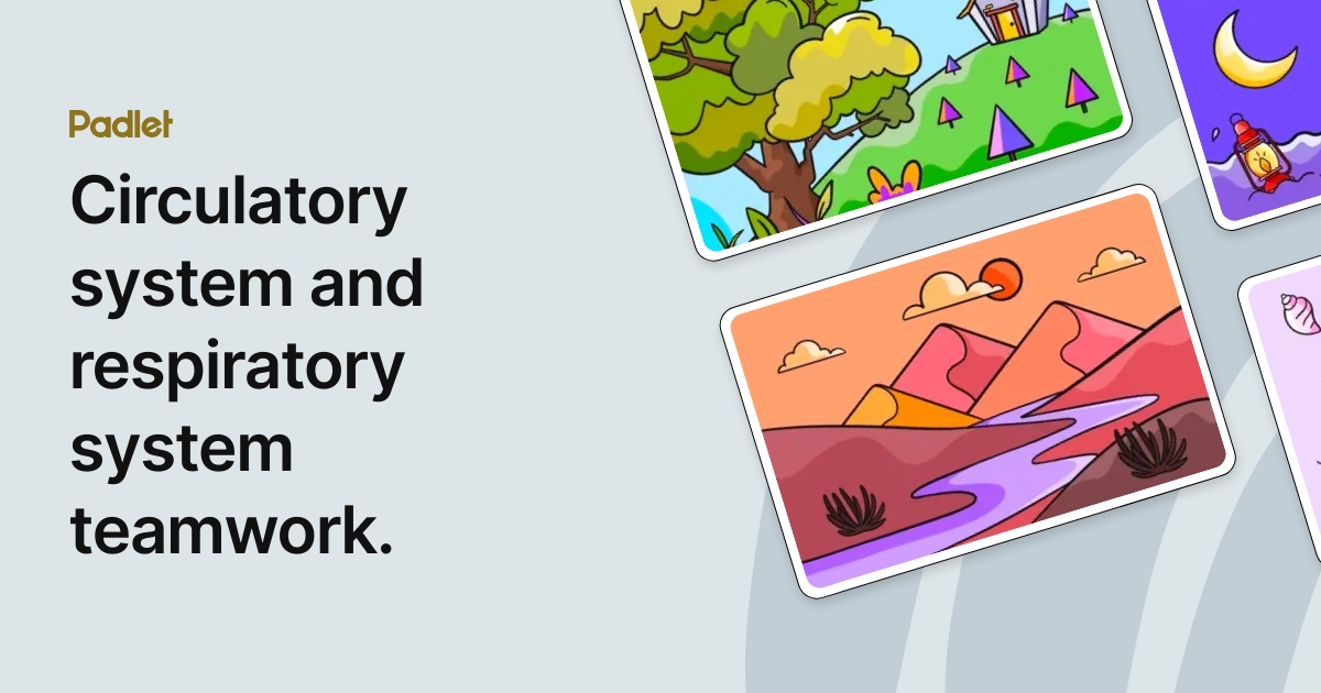 Circulatory system and respiratory system teamwork.