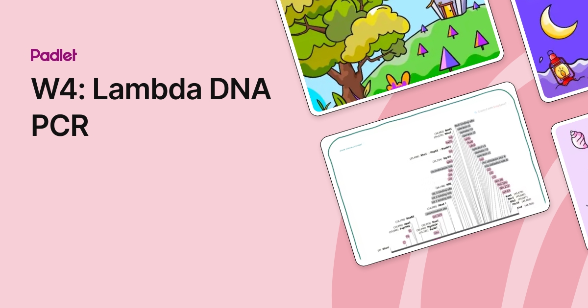 W4: Lambda DNA PCR