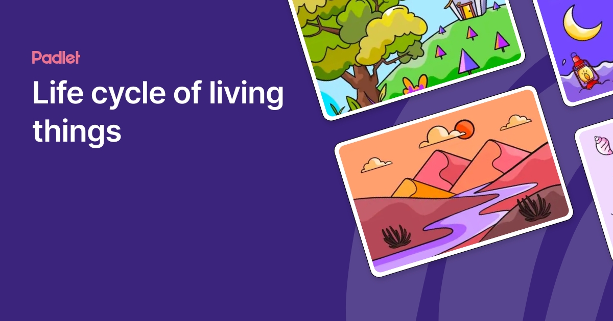 Life cycle of living things