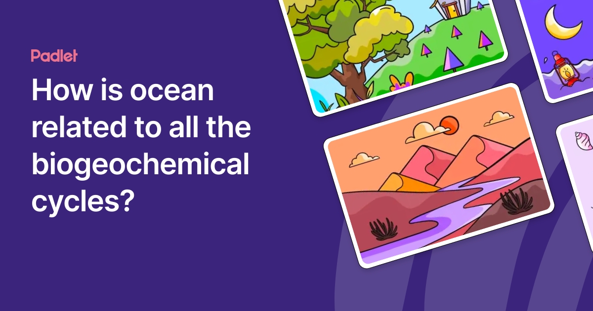 How is ocean related to all the biogeochemical cycles?