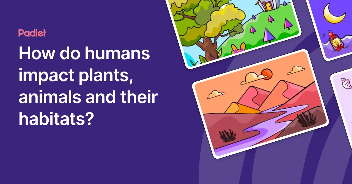 How do humans impact plants, animals and their habitats?