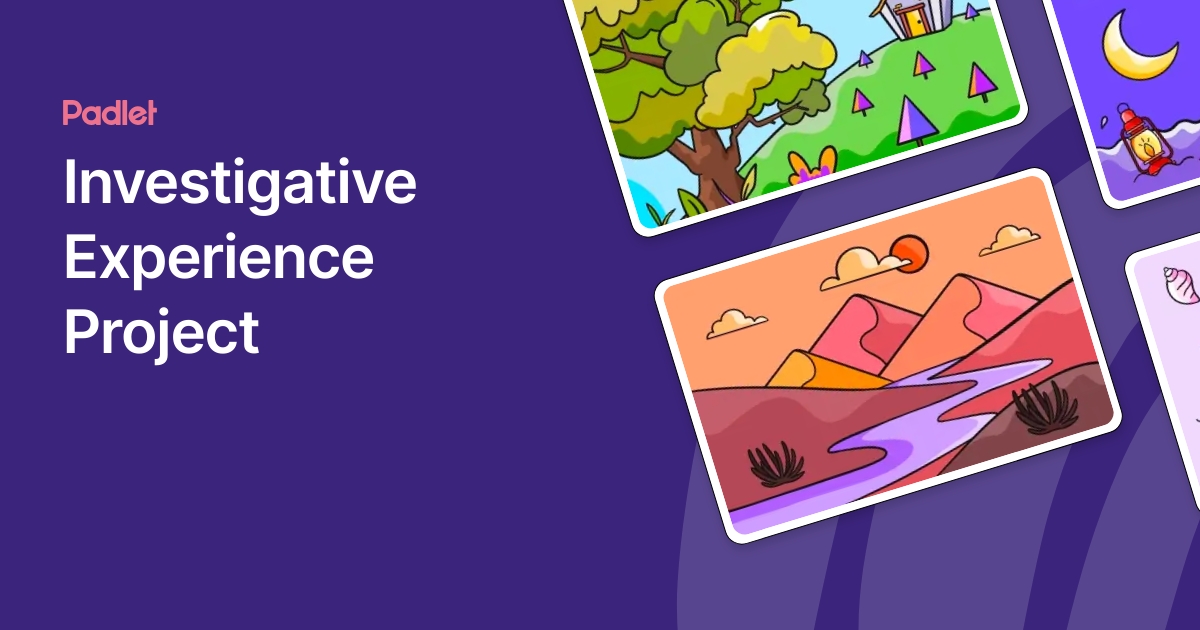 Investigative Experience Project