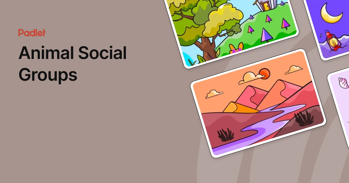 Animal Social Groups