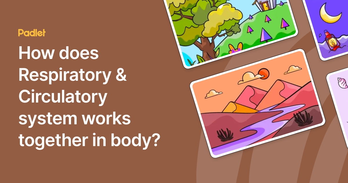 How does Respiratory & Circulatory system works together in body?