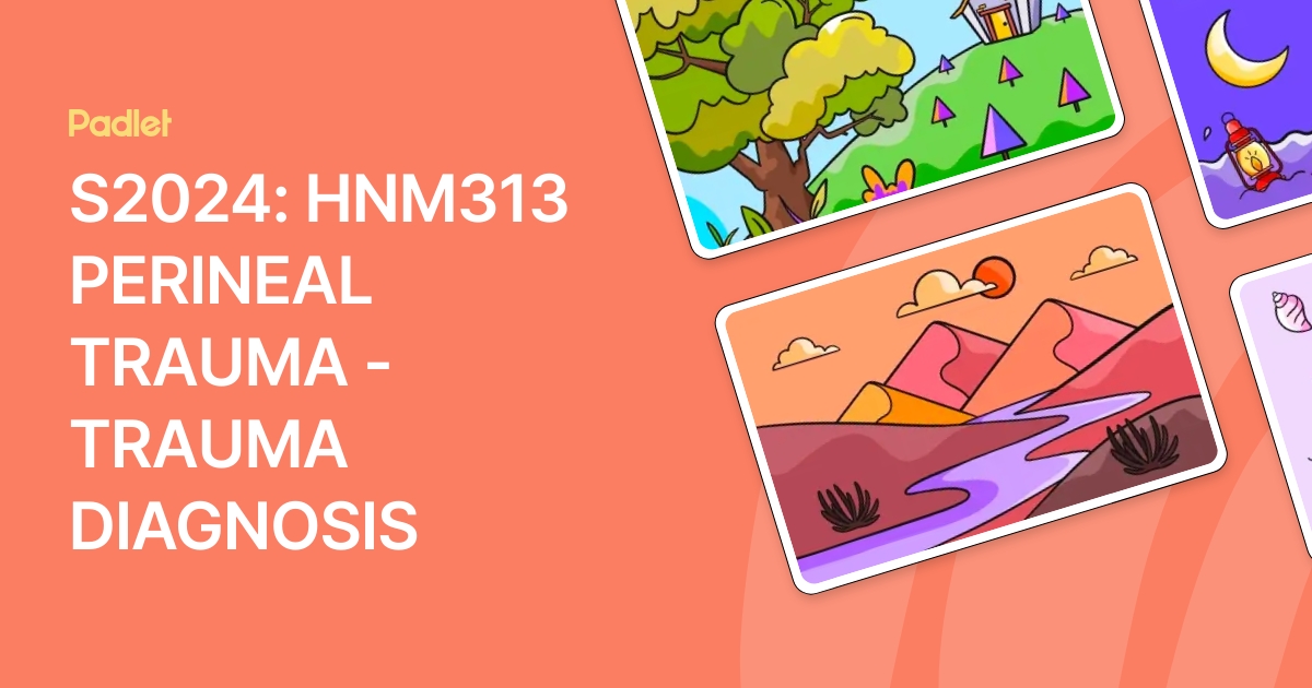 S2024: HNM313 PERINEAL TRAUMA -TRAUMA DIAGNOSIS