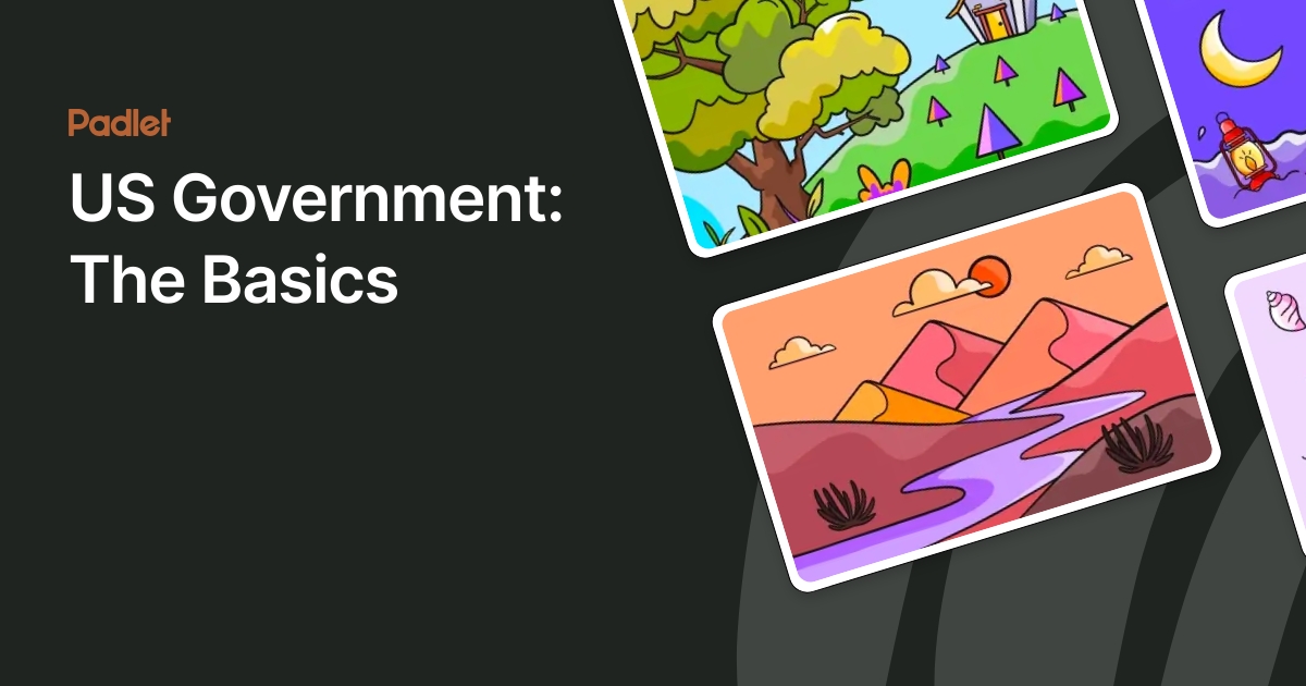 US Government: The Basics