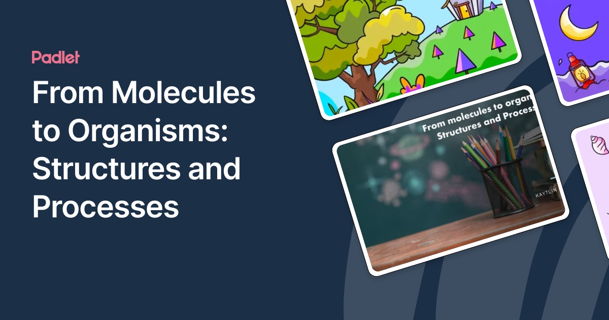 From Molecules to Organisms: Structures and Processes