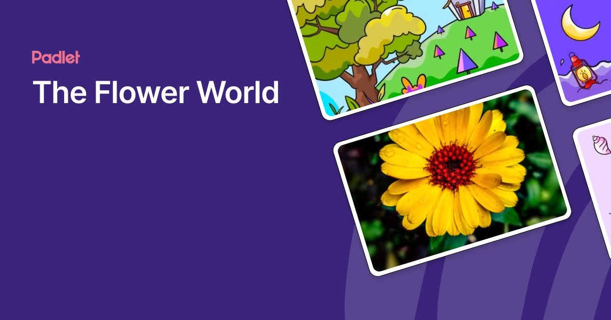 The Flower World