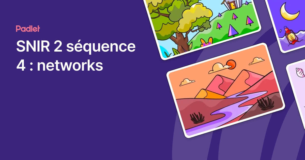SNIR 2 séquence 4 : networks