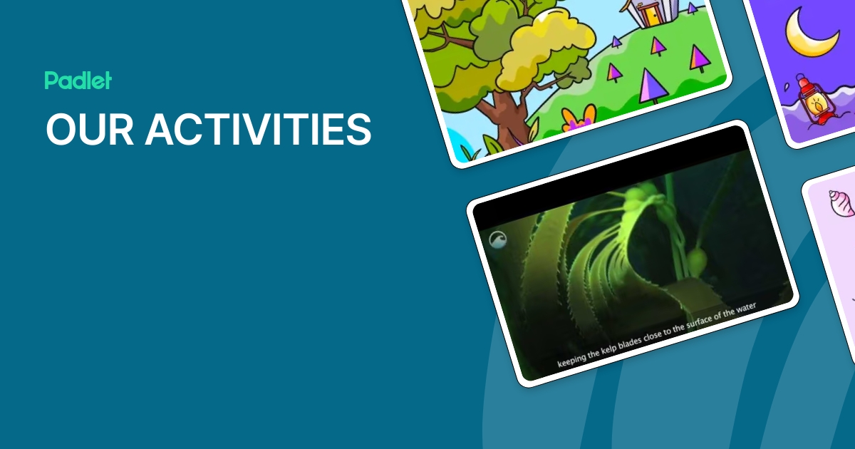 OUR ACTIVITIES