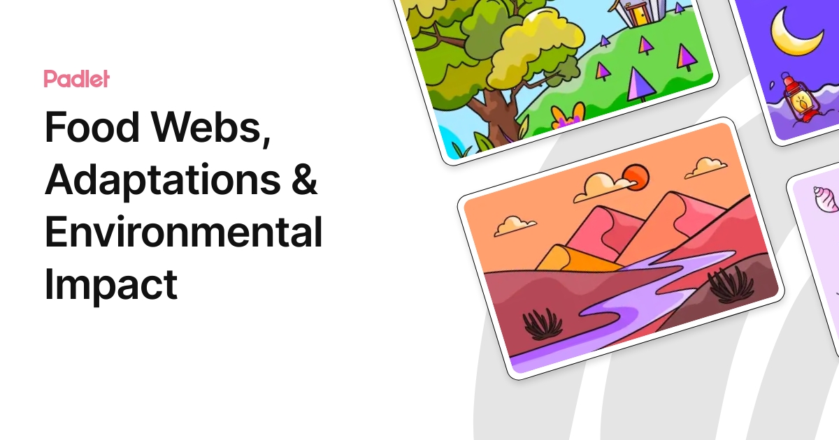 Food Webs, Adaptations & Environmental Impact