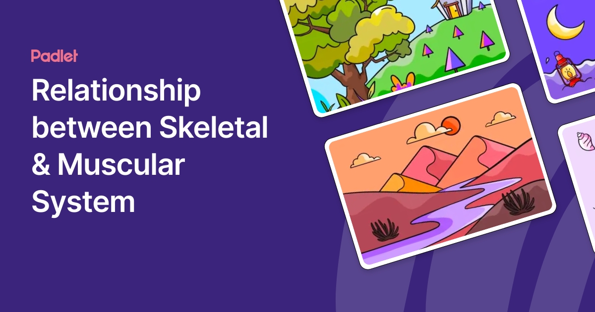 Relationship between Skeletal & Muscular System