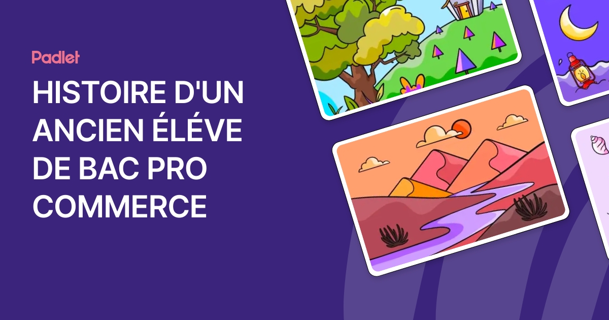 HISTOIRE D'UN ANCIEN ÉLÉVE DE BAC PRO COMMERCE