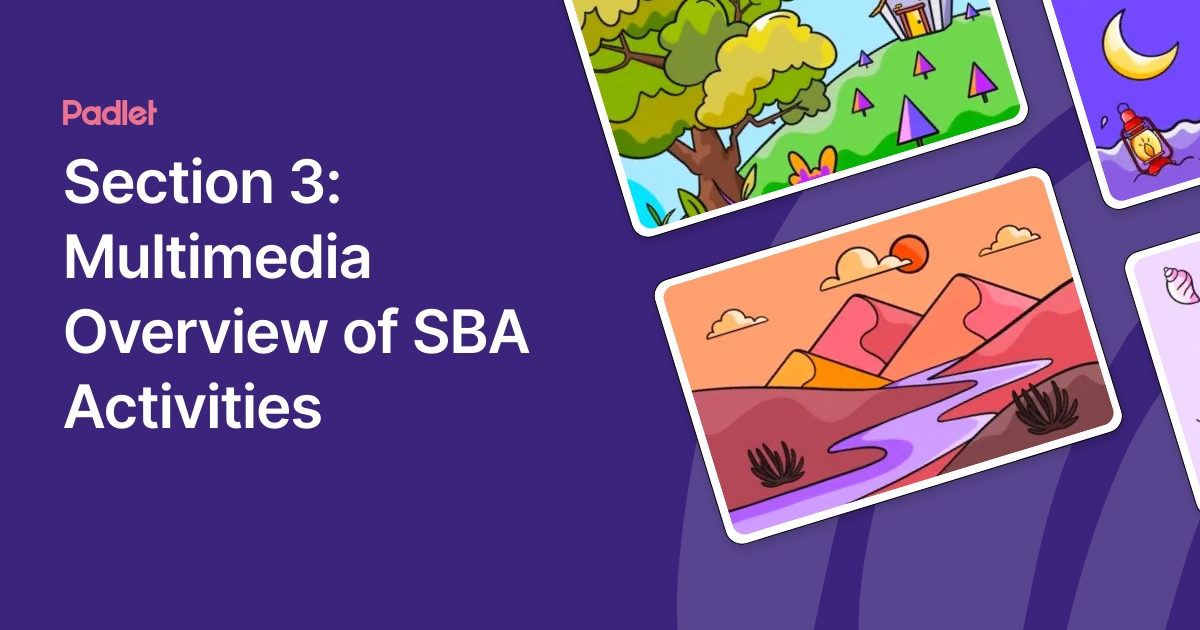 Section 3: Multimedia Overview of SBA Activities