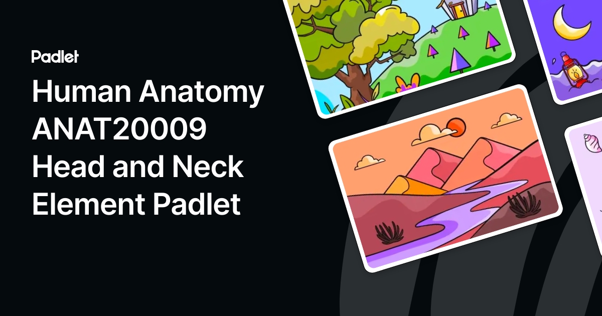 Human Anatomy ANAT20009 Head and Neck Element Padlet