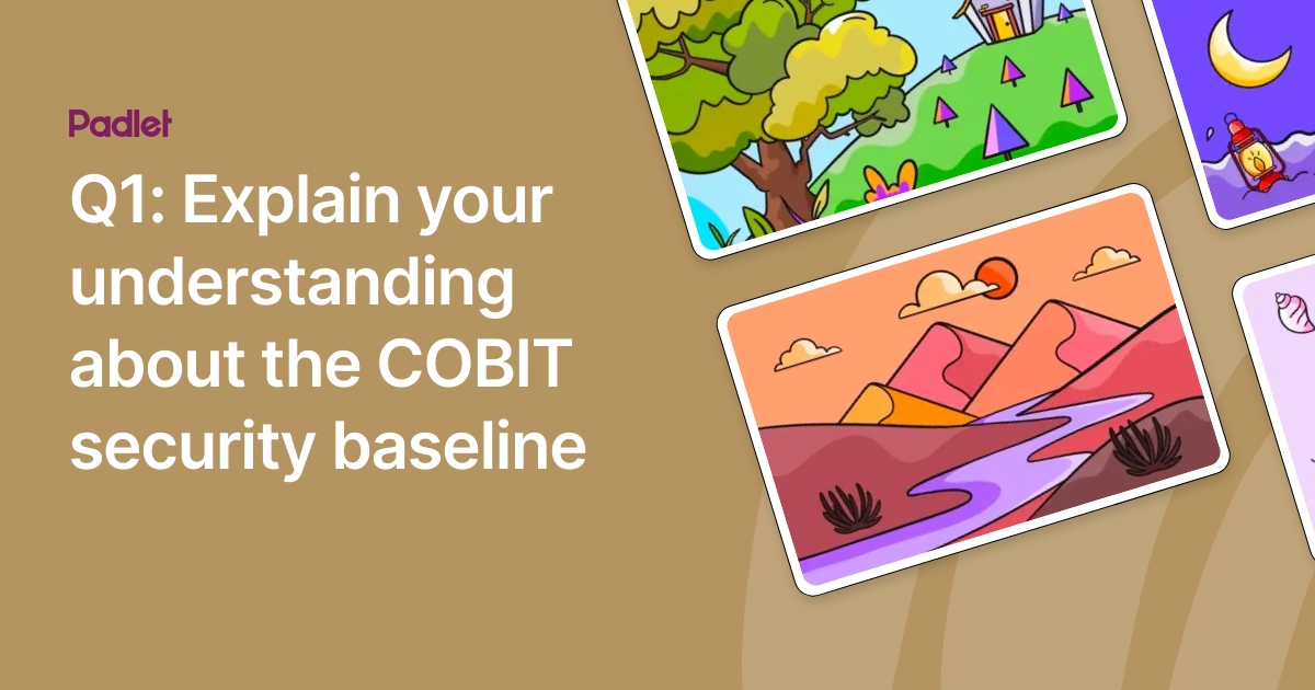 Q1: Explain your understanding about the COBIT security baseline