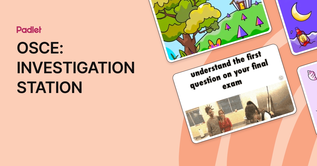 OSCE: INVESTIGATION STATION