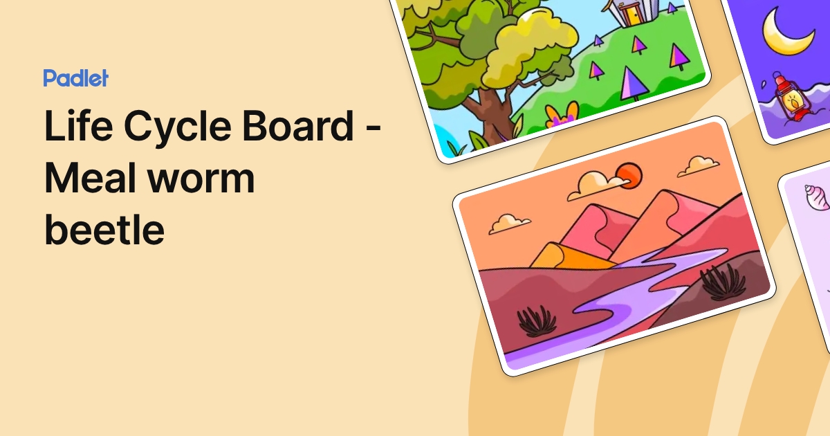 Life Cycle Board - Meal worm beetle