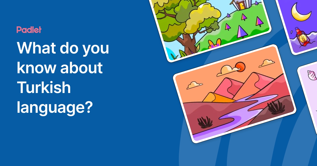 What do you know about Turkish language?