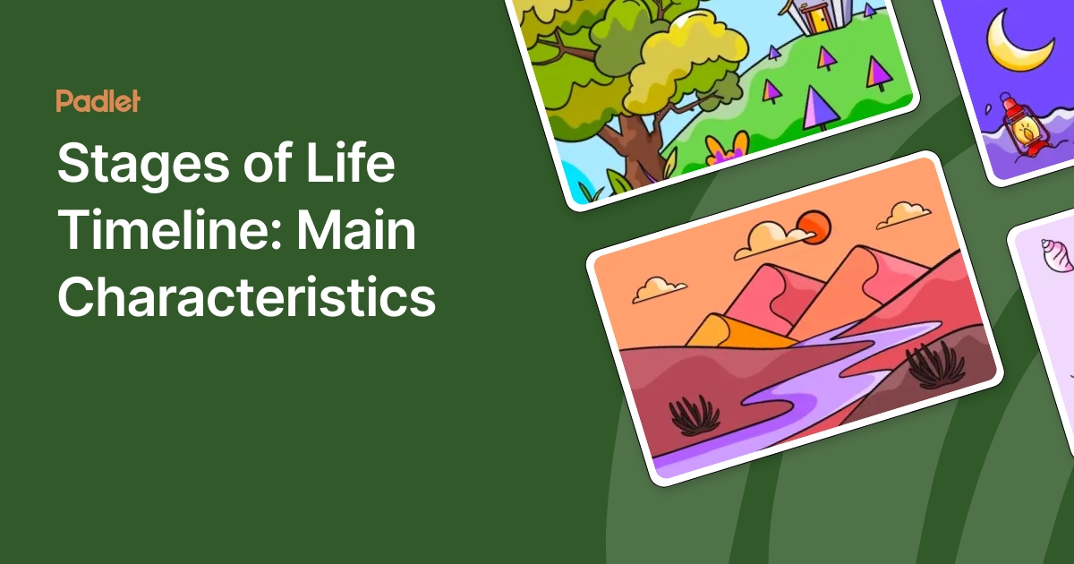 Stages of Life Timeline: Main Characteristics