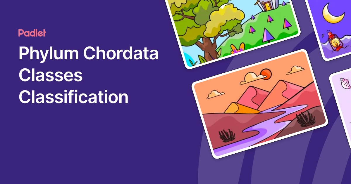Phylum Chordata Classes Classification