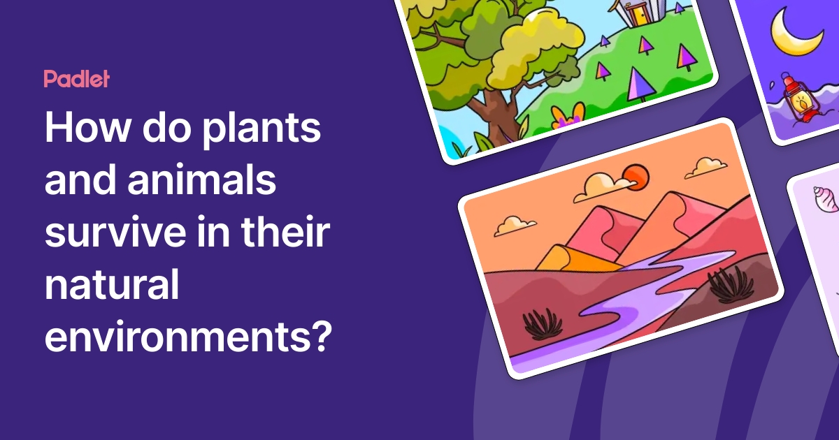 How do plants and animals survive in their natural environments?