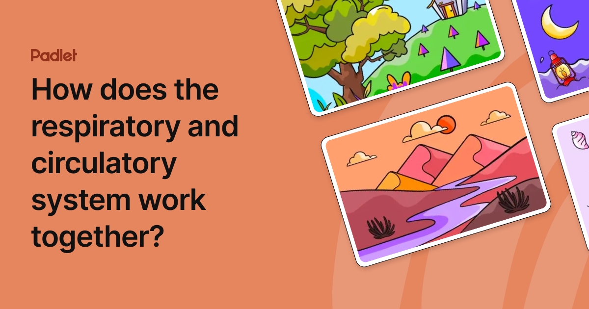 How does the respiratory and circulatory system work together?