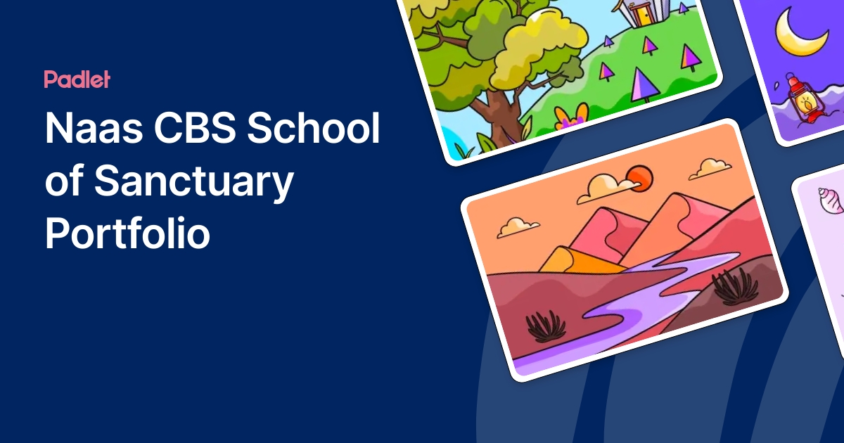 Naas CBS School of Sanctuary Portfolio