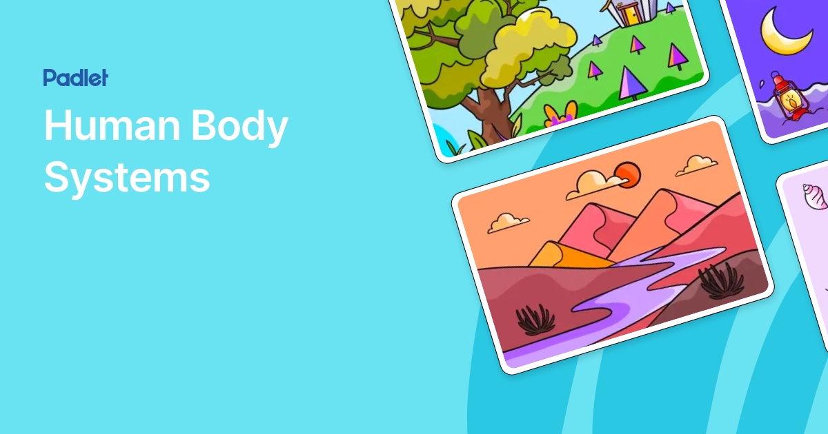 Human Body Systems