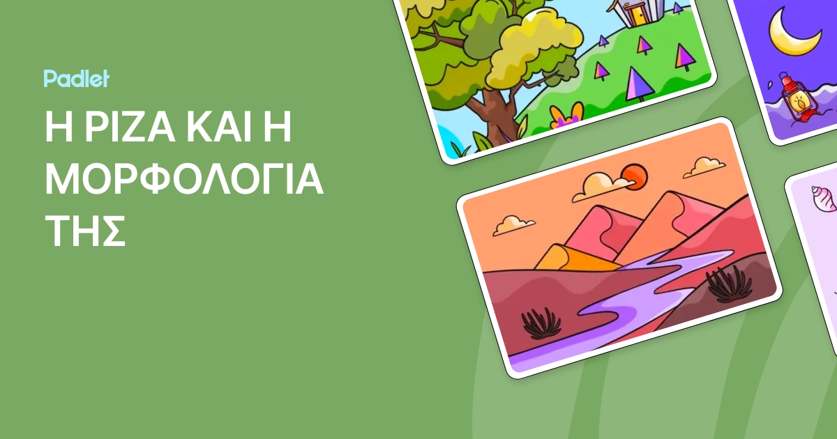 Η ΡΙΖΑ ΚΑΙ Η ΜΟΡΦΟΛΟΓΙΑ ΤΗΣ