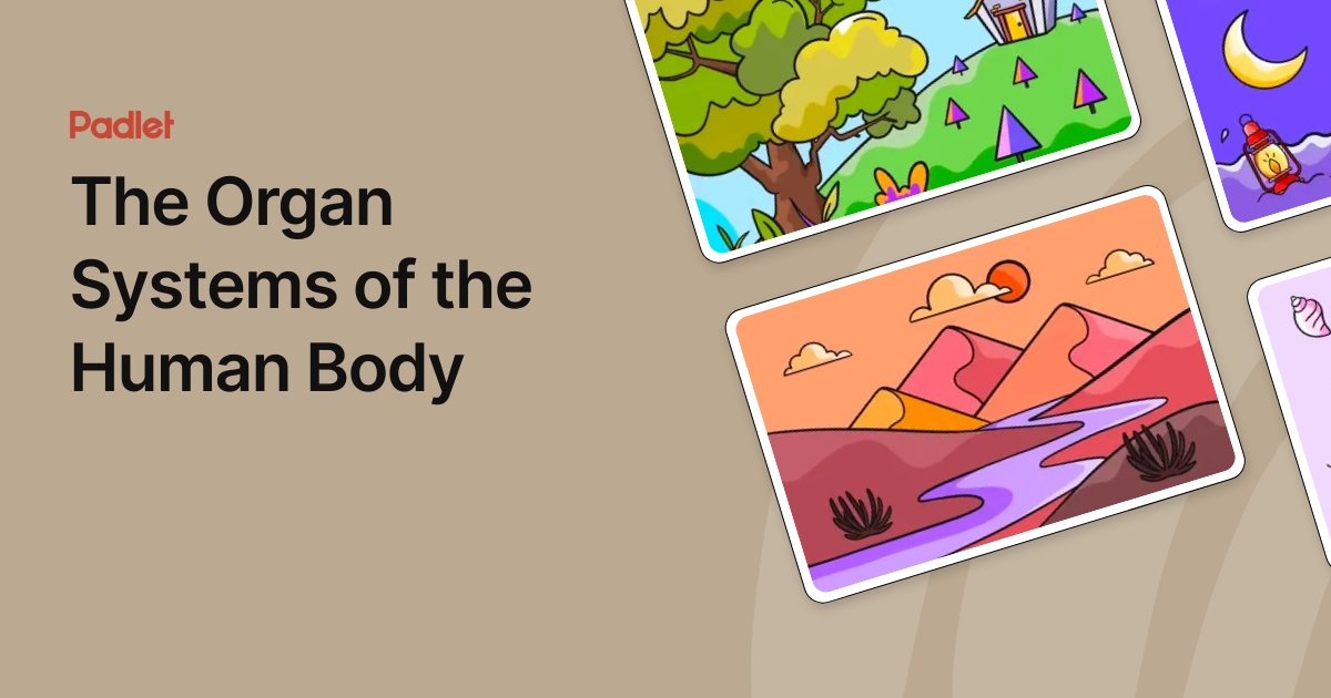 The Organ Systems of the Human Body