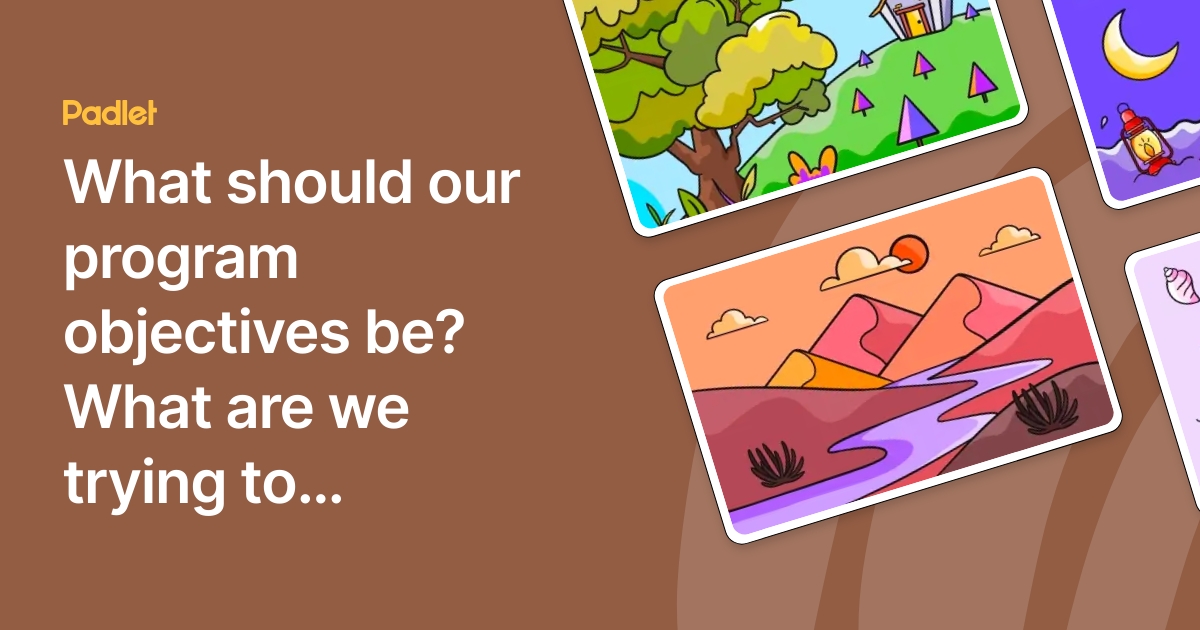What should our program objectives be? What are we trying to achieve?
