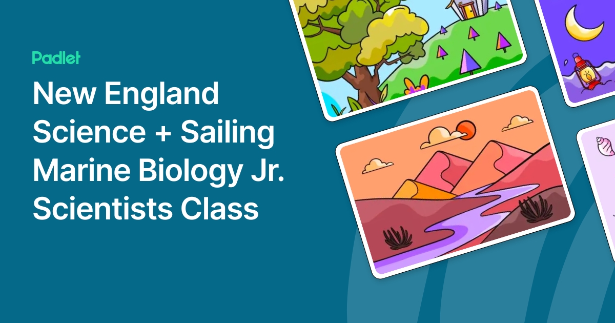 New England Science + Sailing Marine Biology Jr. Scientists Class