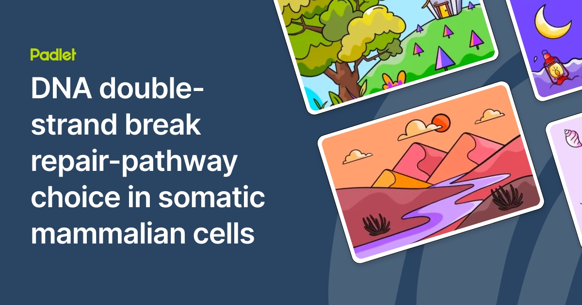 DNA double-strand break repair-pathway choice in somatic mammalian cells